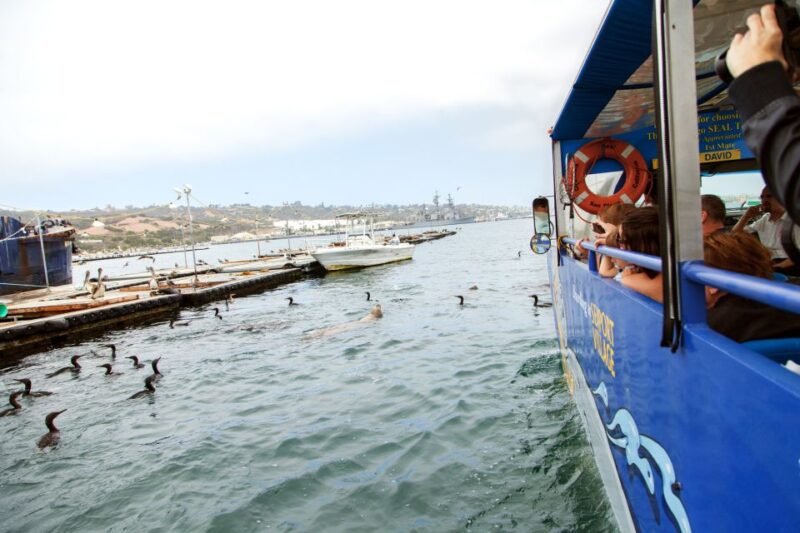 San Diego: SEAL City Tour by Amphibious Bus - Accessibility and Considerations
