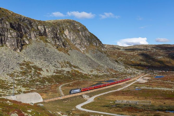 Self-Guided 22-Hour Round Trip From Oslo To Sognefjord With Flåm Railway - The Fjord Cruise and Nærøydalen Bus Ride