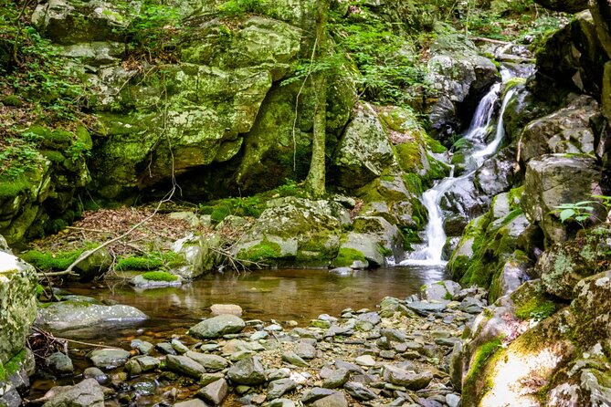 Shenandoah National Park Self-Guided Driving Audio Tour - Frequently Asked Questions
