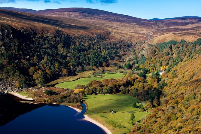 Shore Excursion From Dublin: Including Dublin Highlights and Glendalough - Customer Reviews and Experiences