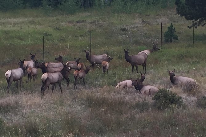 Small-Group Tour of the Rocky Mountain National Park From Denver - Customer Feedback