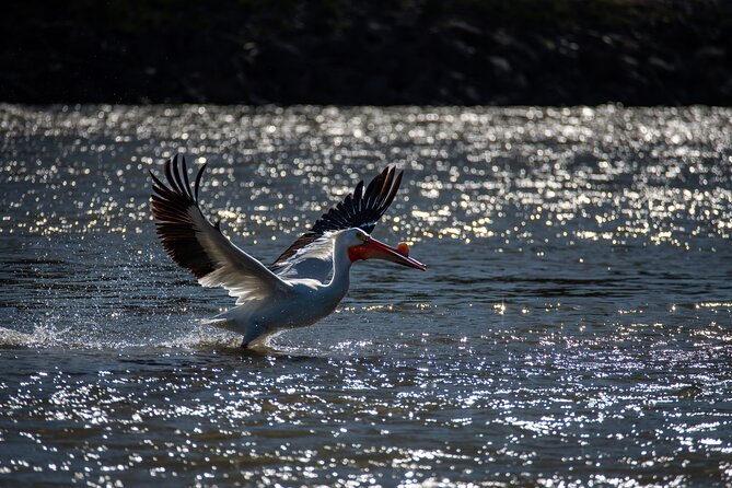 Snake River Scenic Float - FAQs