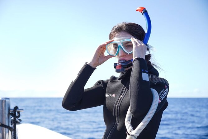 Snorkelling Trip at Ponta De São Lourenço Protected Area - Cancellation Policy