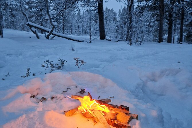 Snowshoe in a Winter Forest - Preparing for Your Snowshoe Adventure
