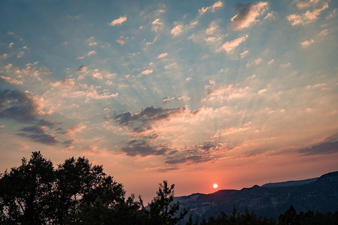 Sunset Wine Tasting in Vineyard - Booking and Cancellation Policies