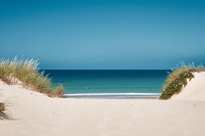 Surf Courses In Peniche and Baleal Portugal - Introduction