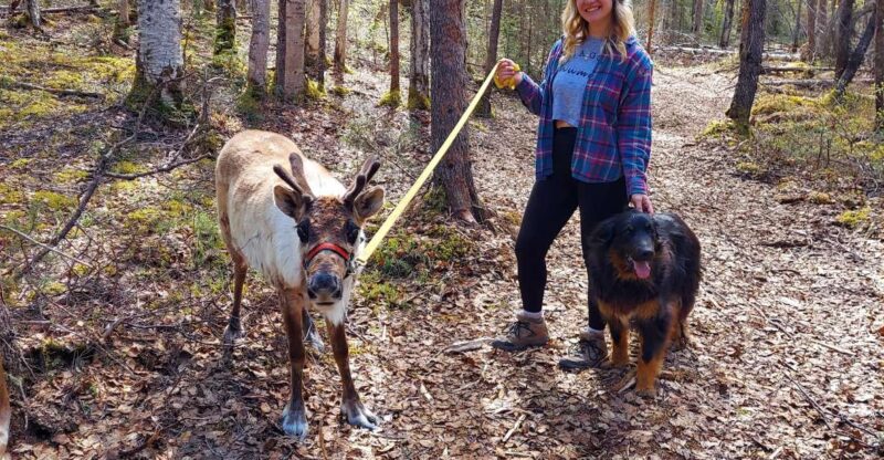 Talkeetna: The Reindeer Grove Homestead Tour and Forage - Who Will Love This Tour?