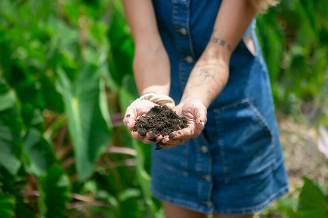 Taste of Hawaii: A Maui Farm Tour - Guest Experiences and Reviews
