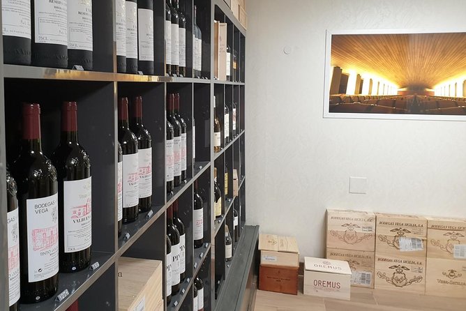 TASTE the TREASURES From RIBERA DEL DUERO in a SUBTERRANEAN Wine Cellar - Focus on Small Wine Producers
