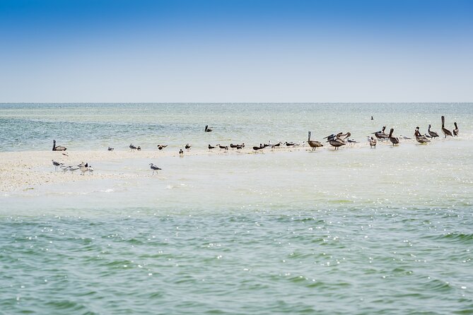 Ten Thousand Island Jet Ski Eco Tour - Marco Island - FAQ