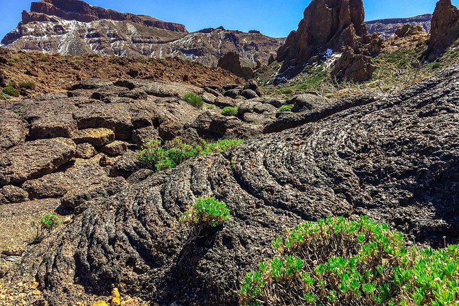 Tenerife South Private Tour: Secrets of the Volcanoes - Additional Tour Details and Considerations