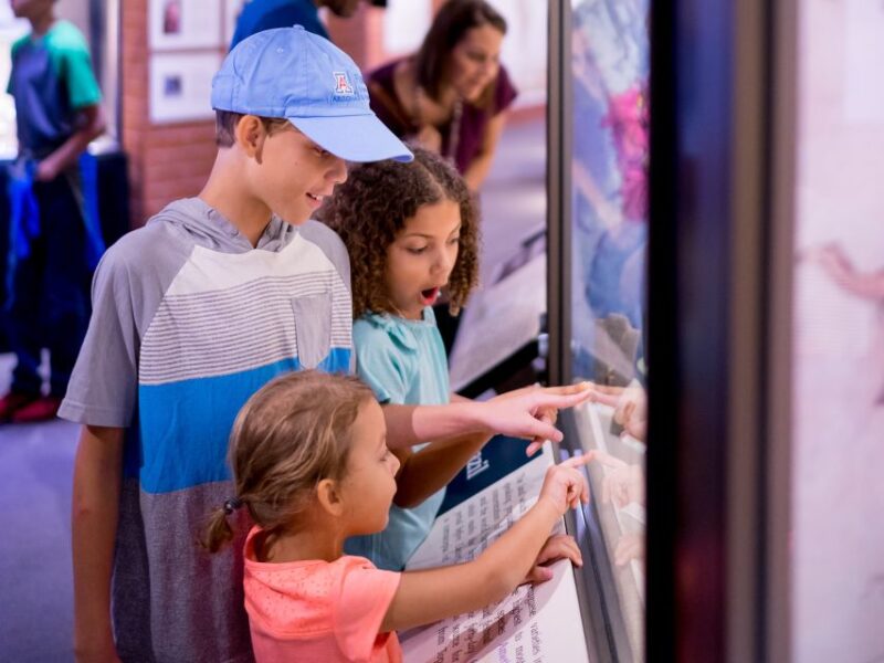 Tucson: Flandrau Science Center Entry Ticket - Final Thoughts on Value