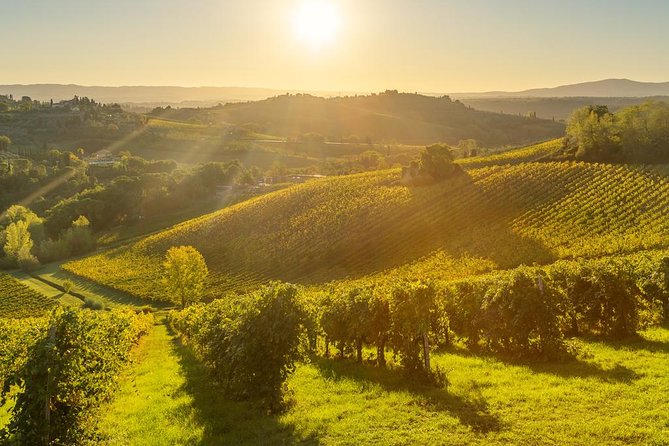 Tuscan Chianti Hills Horseback Riding Tour - Addressing Customer Concerns