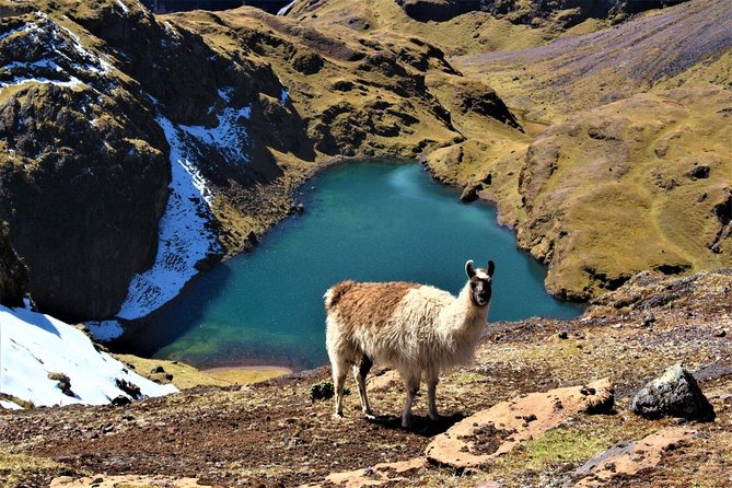 Ultimate Lares Trek & Inca Trail 5 Days - Exploring the Inca Trail