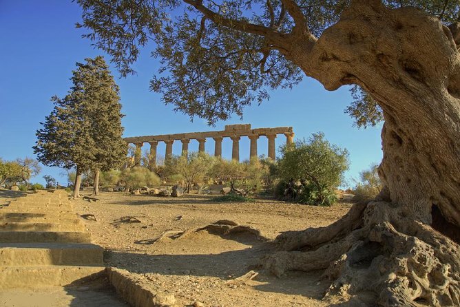 Valley of the Temples and Villa Romana Del Casale Day Trip From Taormina - Traveler Feedback and Recommendations