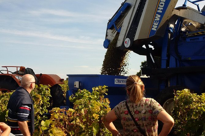 Vouvray Vineyard Tour Review: An Unforgettable Experience - Discovering the Rich History and Traditions of Vouvray