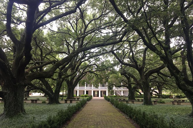 Whitney Plantation and Airboat Tour From New Orleans - Traveler Feedback and Recommendations