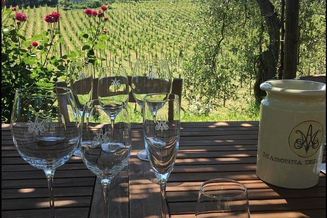 Wine Tasting and Winery Tour - Savoring the Flavors