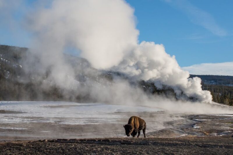 Yellowstone: Old Faithful, Waterfalls, and Wildlife Day Tour - Final Thoughts
