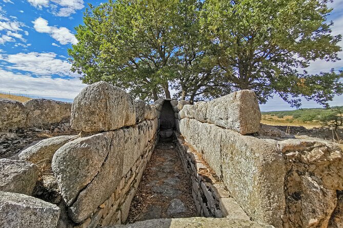 4x4 Tour of Orgosolo: Murals and Typical Lunch at the Shepherds - Why Choose This 4x4 Tour