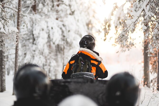 Arctic Circle Snowmobile Safari for Beginners in Rovaniemi - Tips for an Enjoyable Snowmobiling Experience