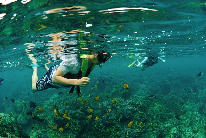 Bali Hai - Reef Cruise - FAQs