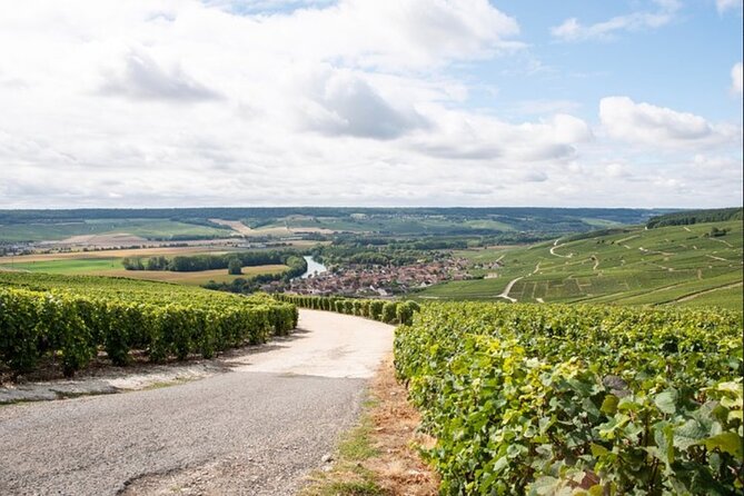 Champagne Small-Group Tour Review - Reservation Options and Pricing