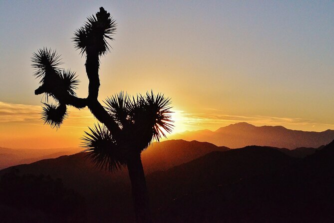 CreativeSoul ScavengerHunt(Hidden Valley,Joshua Tree)Remote Host - FAQs