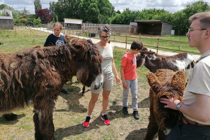 Discovery Day in the Footsteps of Baudet Du Poitou - Practical Information and Recommendations