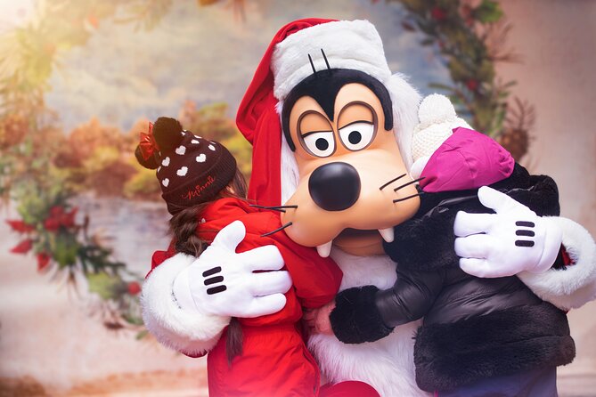 Disneyland® Paris Entrance Ticket - Visitor Safety and Restrictions