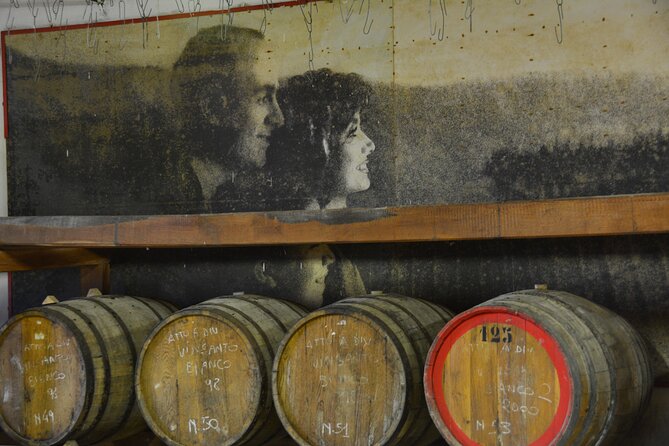 Exclusive Chianti Classico Day Trip From Florence - Scenic Beauty of Chianti Countryside