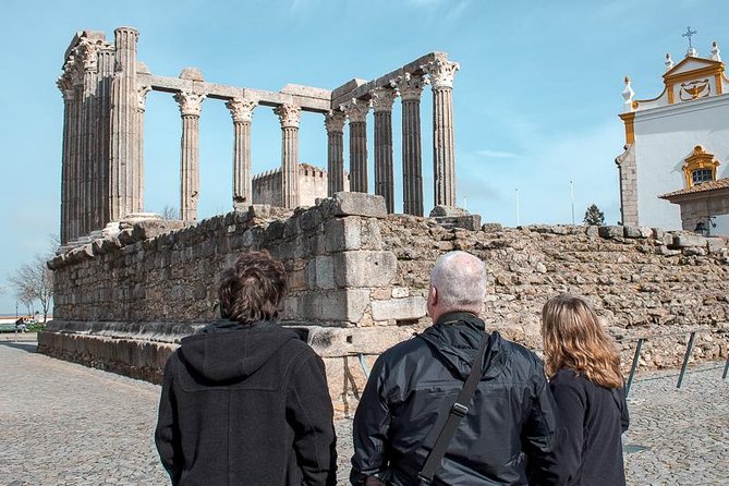 From Lisbon to Alentejo: Évora and Megaliths Full-Day Tour - Tour Feedback and Recommendations