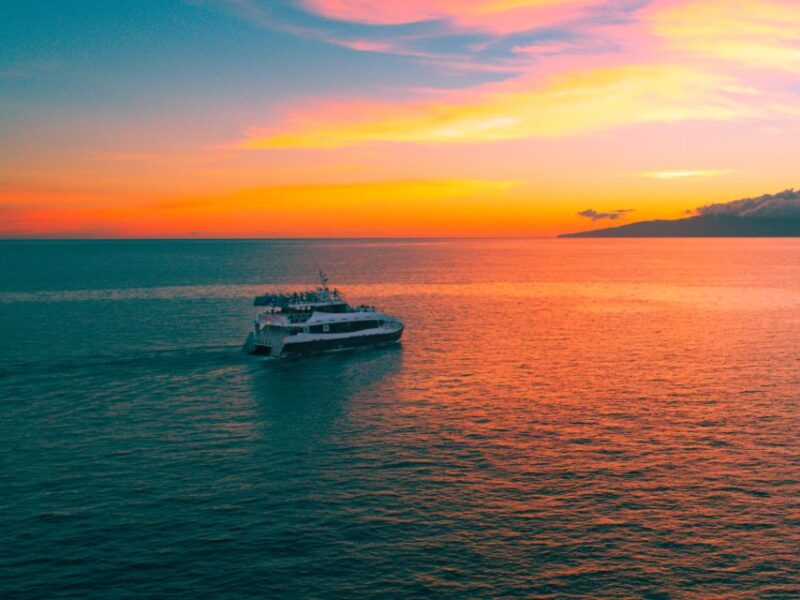 From Ma'alaea: Thanksgiving Dinner Cruise Aboard the Calypso - The Sum Up