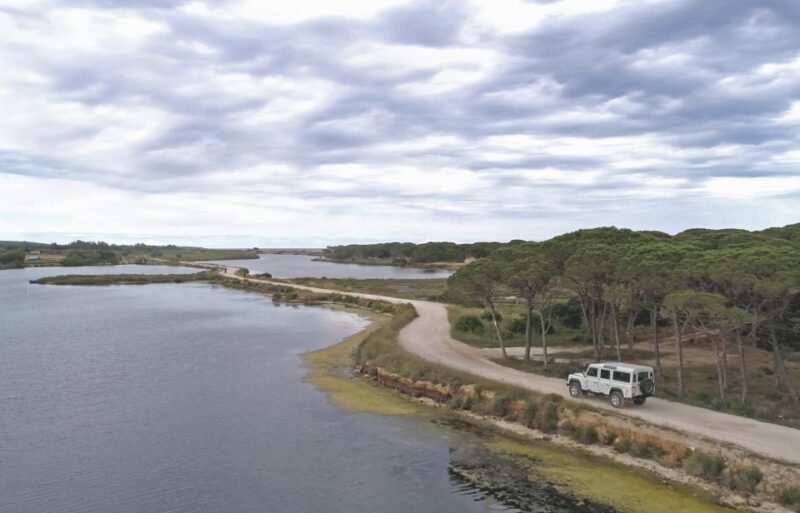 From Orosei: Archaeology, Wine Tasting & Landscapes Tour - Inclusions, Exclusions, and Customer Feedback