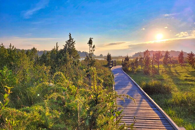 From Riga: Best of Kemeri National Park In One Day - Participants Feedback and Reviews
