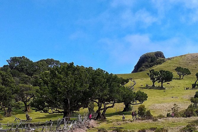 Full-Day Small Group Jeep Safari Tour From Funchal - What to Expect on the Tour