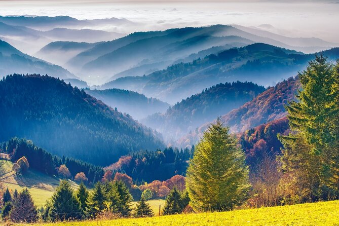 Germany Day Trip With Baden-Baden & Black Forest From Strasbourg - Frequently Asked Questions