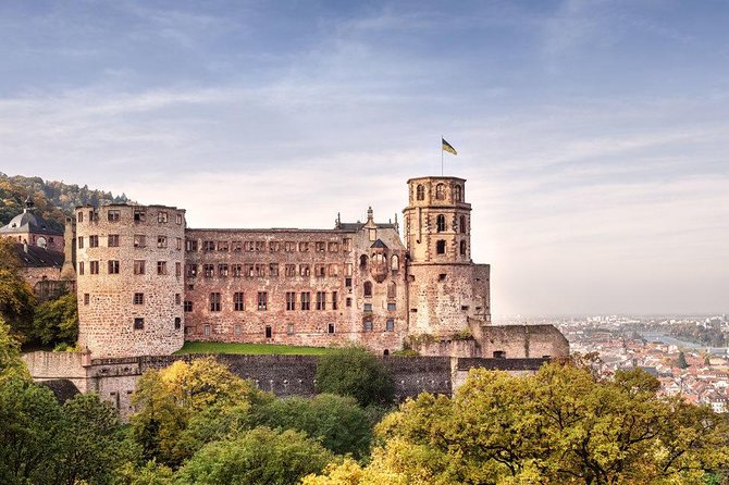 Heidelberg and Rothenburg Day Trip From Frankfurt - Feedback and Considerations