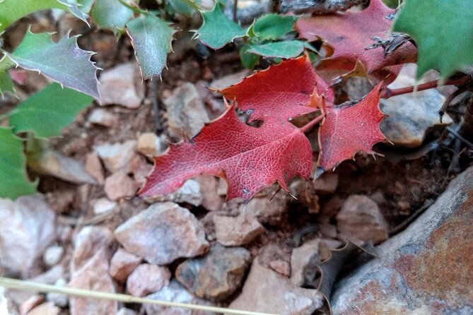 Hiking Experience in Bryce Canyon National Park - Frequently Asked Questions