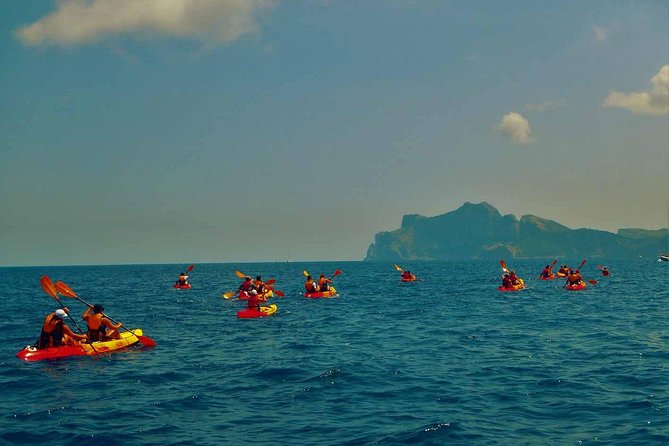 Kayak & Coasteering - Traveler Reviews and Ratings