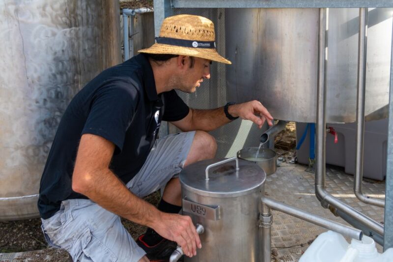 Lavender Field & Distillery Tour Between Nimes & Arles - Engaging With Aromatic Plants