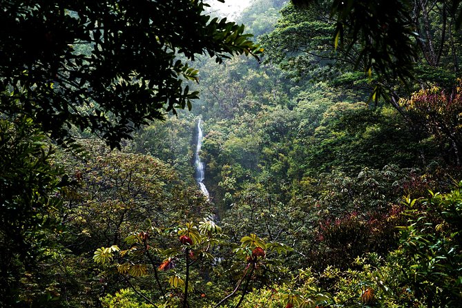 Manoa Waterfall Hike From Waikiki With Healthy Lunch Included - Preparing for the Hike