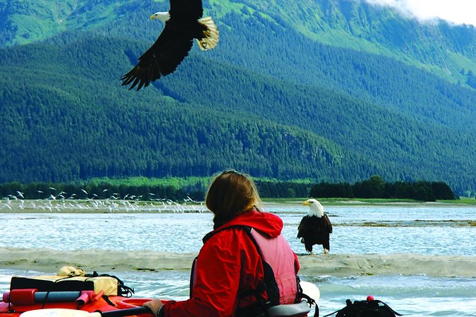 Mendenhall Glacier View Sea Kayaking - Exploring the Mendenhall Wetlands