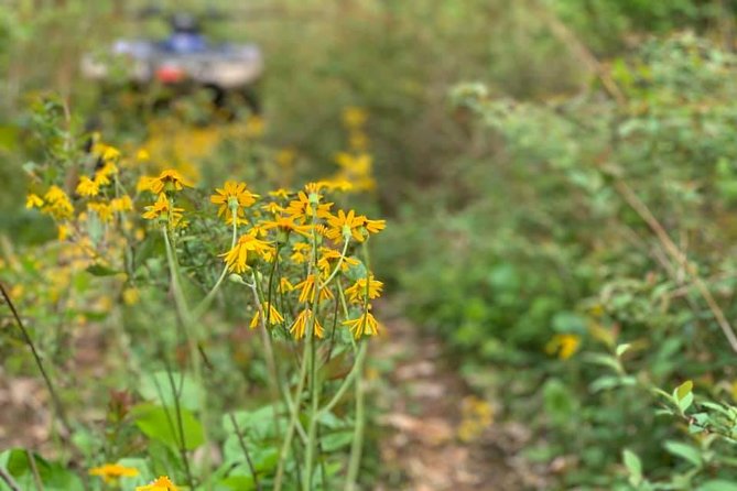 New River Gorge ATV Adventure Tour - Preparing for the Adventure