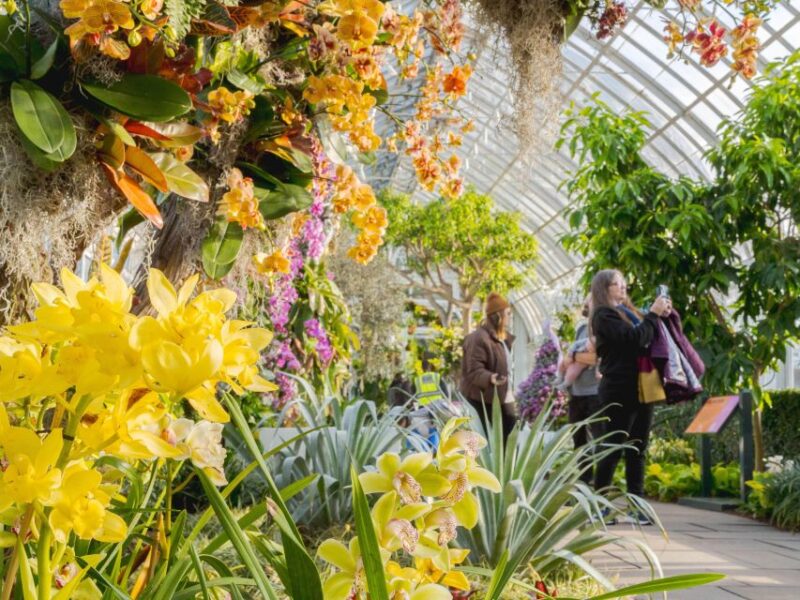 NYC: New York Botanical Garden Pass with Orchid Show Option - How the Experience Is Structured