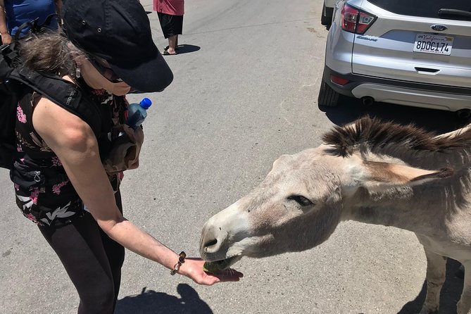 Oatman Mining Camp, Burros, Museums/Scenic RT66 Tour Small Grp - Praise From Satisfied Travelers