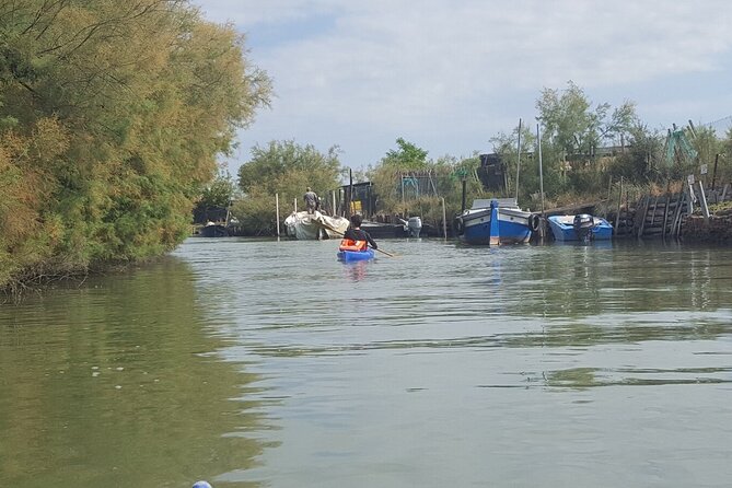 Private Kayak Tour in the Venetian Lagoon - Reviews and Feedback