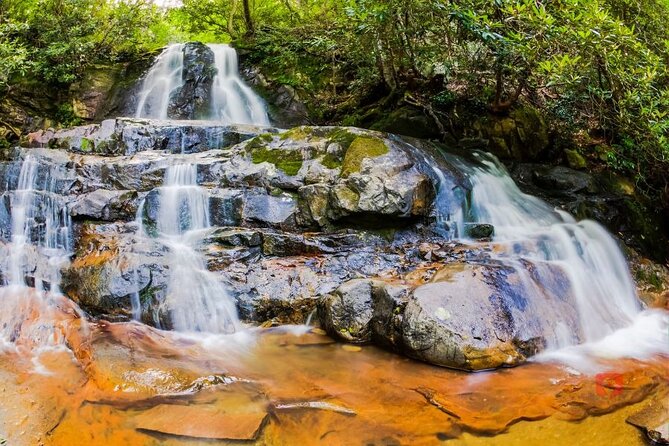 Self-Guided Audio Driving Tour in Great Smoky Mountains - Frequently Asked Questions
