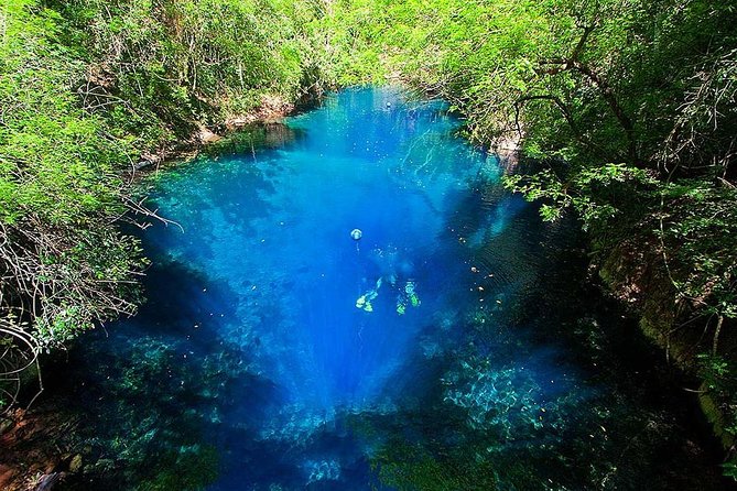 Skip the Line: Lagoa Misteriosa Admission Ticket With Scuba Diving Experience - Operating Dates and Availability