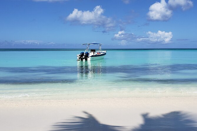 Small Group: Saona Island Full Day Tour - Final Thoughts